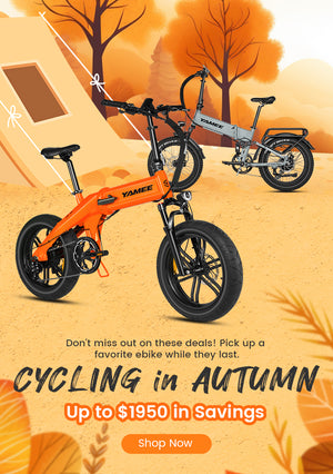 Yamee 750W Electric Bicycle丨Mountain Ebike 丨Yamee Fat Tire Bike ...